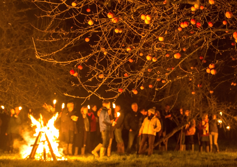 Wassailing callout, 2022/2023 - Tradfolk