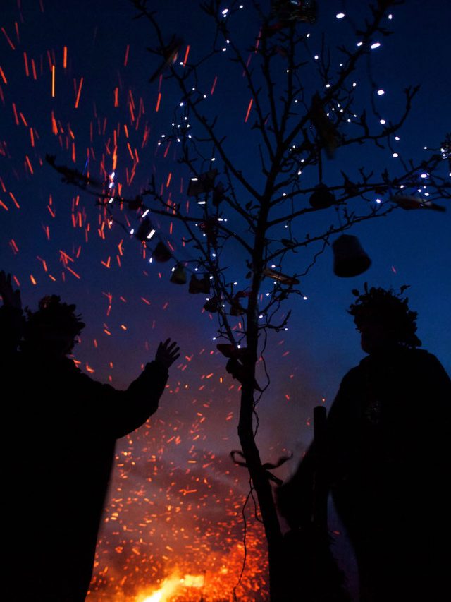 Everything you ever wanted to know about wassailing - Tradfolk